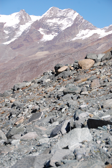 Sophie Bekkering - Blog